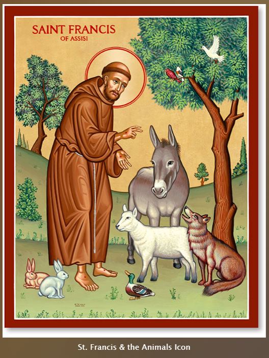 Celebrate Saint Francis of Assisi: A Reflection on His Legacy